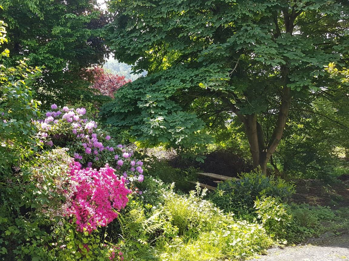 200 M² Ferienhaus ∙ 4 Schlafzimmer ∙ 8 Gäste - Willingen (Upland)