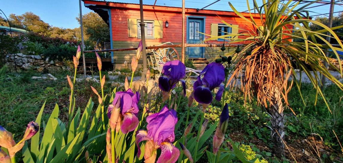 60 M² Cottage ∙ 2 Chambres ∙ 4 Personnes - Aniane