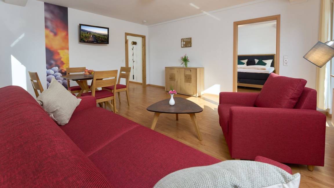 50 M² Appartement ∙ 1 Chambre ∙ 4 Personnes - Fribourg-en-Brisgau