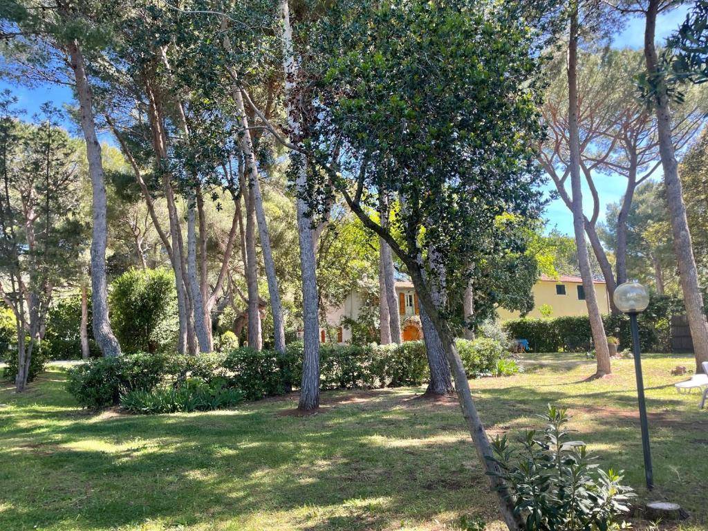75 M² Longère ∙ 2 Chambres ∙ 4 Personnes - Campiglia Marittima