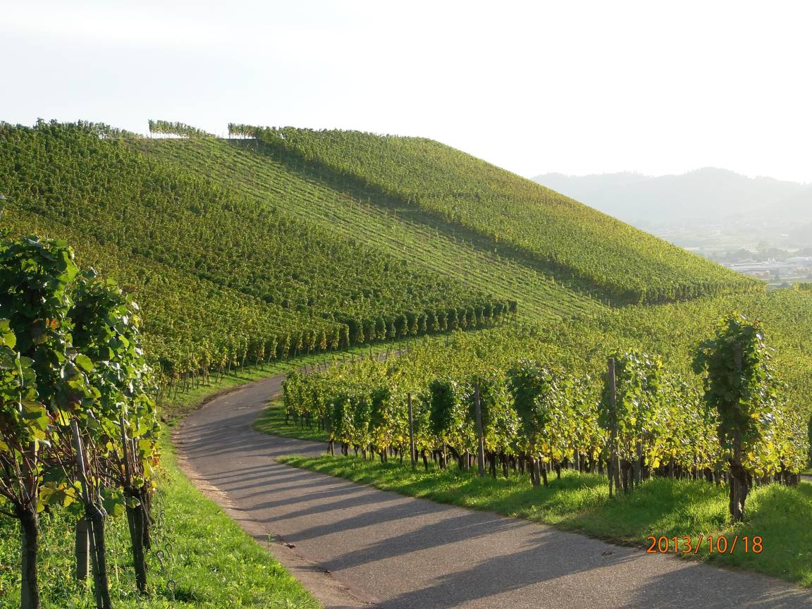 70 M² Appartement ∙ 1 Chambre ∙ 4 Personnes - Oberkirch