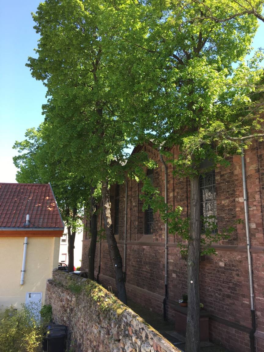 65 M² Casa ∙ 1 Camera Da Letto ∙ 4 Ospiti - Mainz