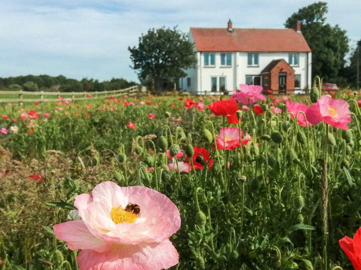 Cottage ∙ 5 Bedrooms ∙ 12 Guests - Yorkshire