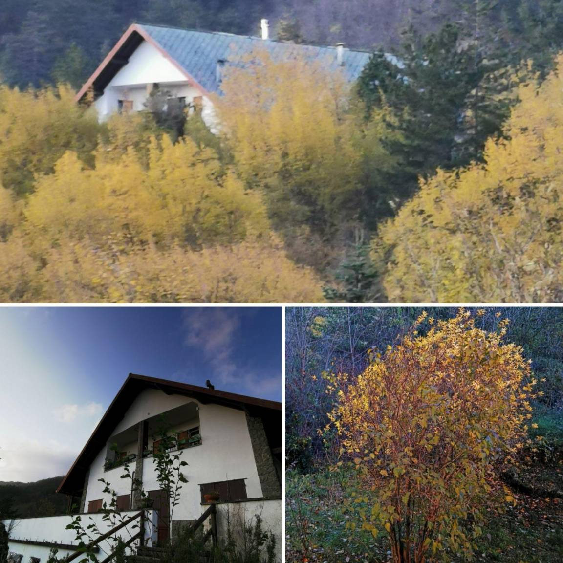 50 M² Appartement ∙ 1 Chambre ∙ 5 Personnes - Santo Stefano d'Aveto