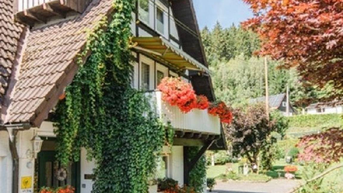 170 M² Ferienwohnung ∙ 2 Schlafzimmer ∙ 11 Gäste - Eslohe (Sauerland)