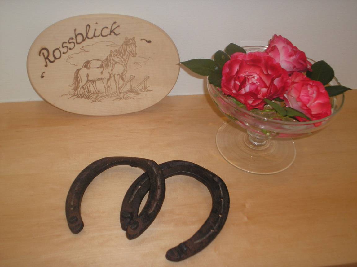 60 M² Apartment ∙ 1 Bedroom ∙ 4 Guests - Seelbach