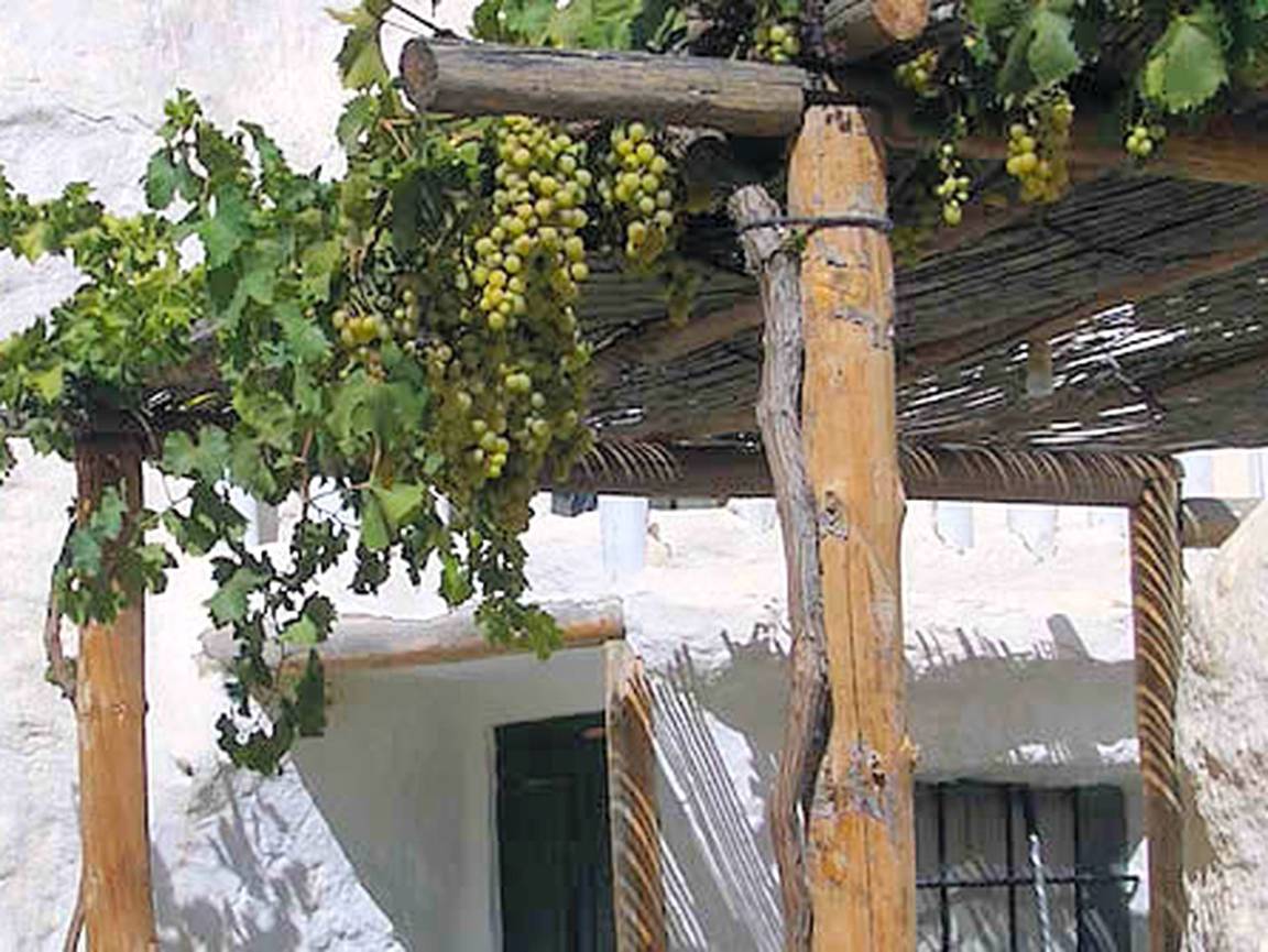 Alojamiento ∙ 1 Habitación ∙ 11 Huéspedes - Baza