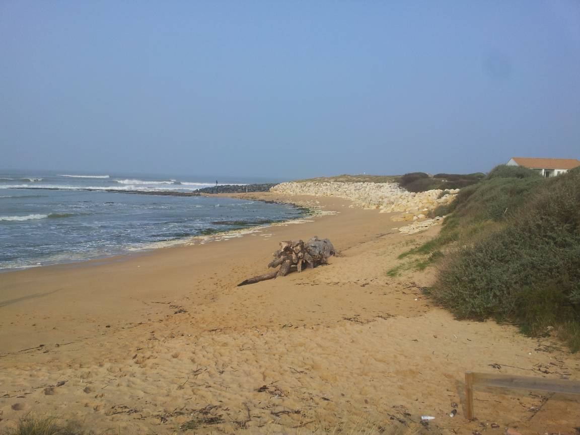 Bungalow ∙ 2 Chambres ∙ 4 Personnes - La Cotinière