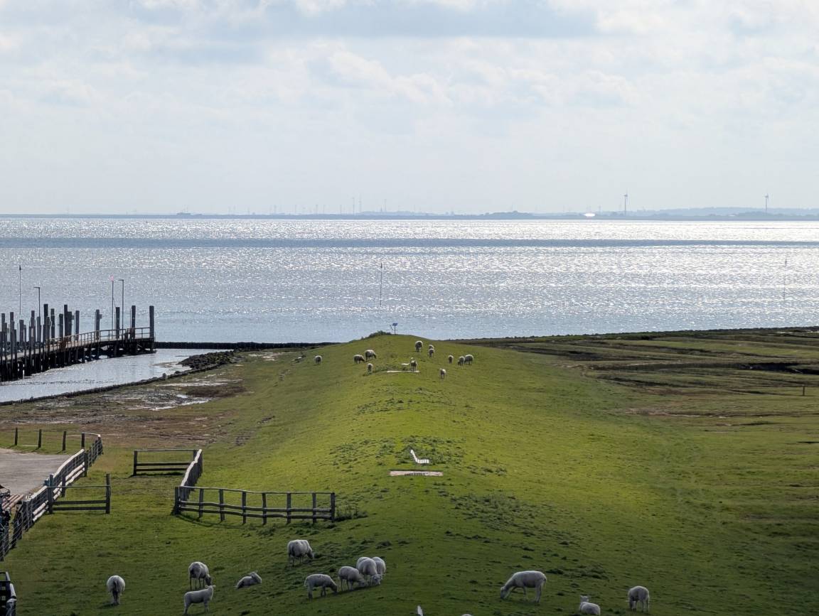 81 M² Ferienwohnung ∙ 2 Schlafzimmer ∙ 4 Gäste - Hooge