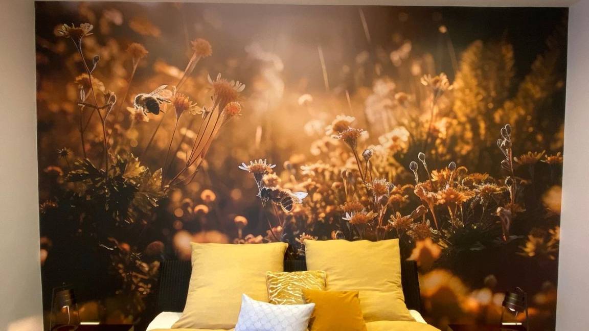 35 M² Apartment ∙ 1 Bedroom ∙ 2 Guests - Haßloch