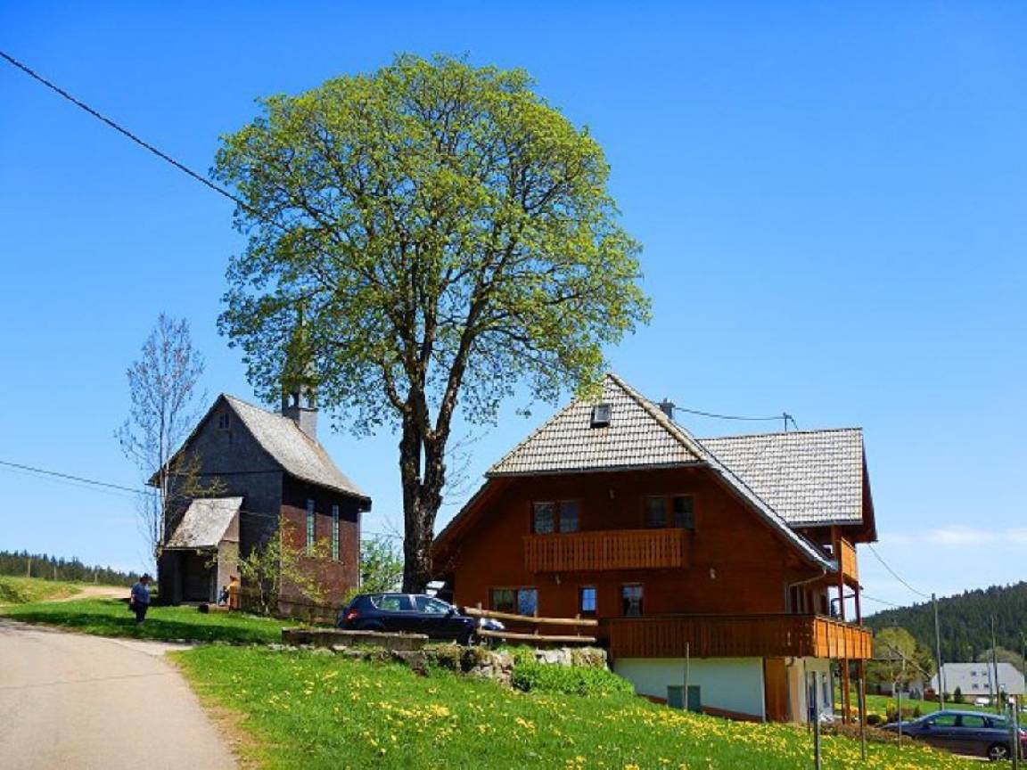 60 M² Apartment ∙ 2 Bedrooms ∙ 4 Guests - Titisee-Neustadt