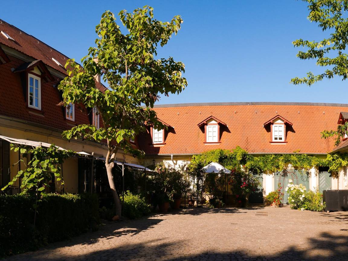 45 M² Ferienwohnung ∙ 1 Schlafzimmer ∙ 3 Gäste - Freinsheim