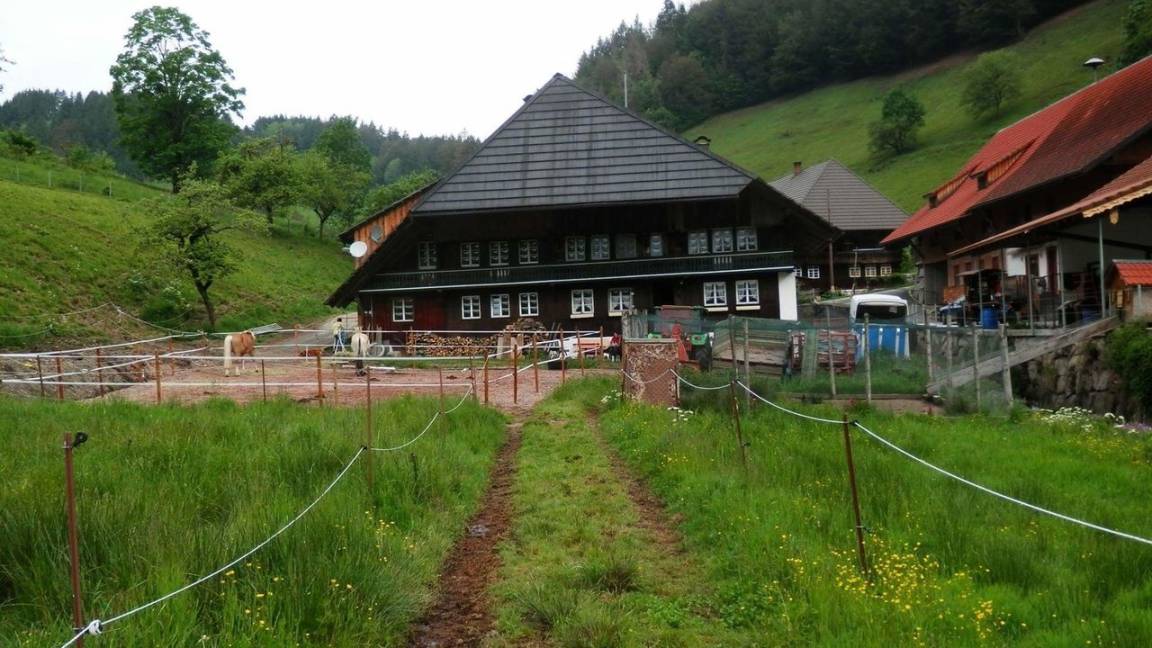 Vacation Apartment/apartment For 4 Guests With 75m² In Böllen (68454) - Black Forest