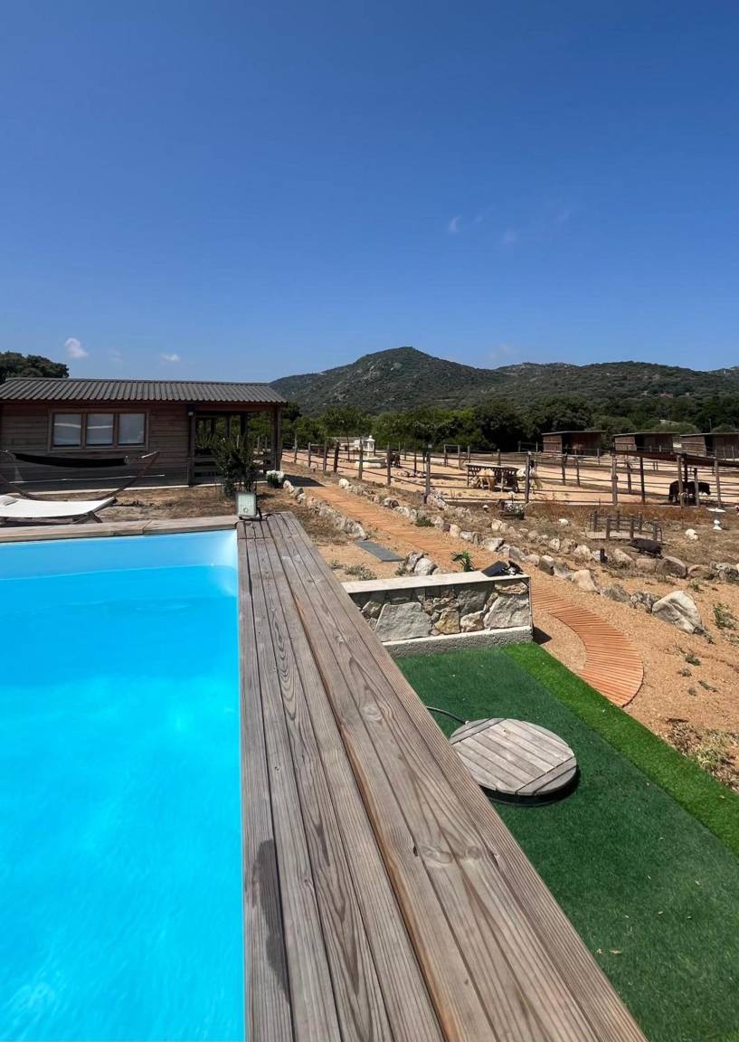 20 M² Chalet ∙ 1 Chambre ∙ 2 Personnes - Belgodère