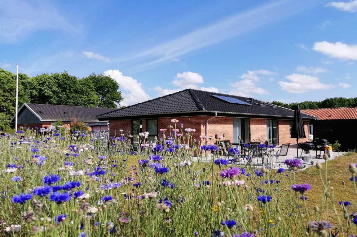 129 M² Ferienhaus ∙ 3 Schlafzimmer ∙ 8 Gäste - Bornholm
