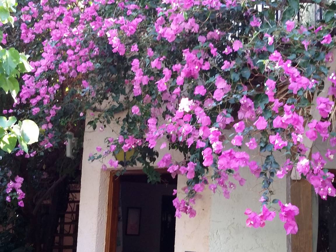 65 M² Casa Rural ∙ 2 Habitaciones ∙ 4 Huéspedes - Creta