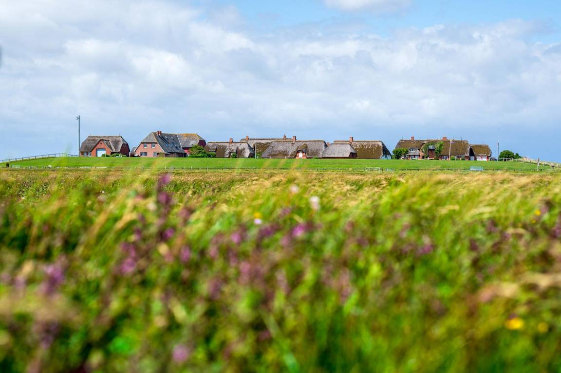 45 M² Ferienwohnung ∙ 1 Schlafzimmer ∙ 2 Gäste - Langeneß