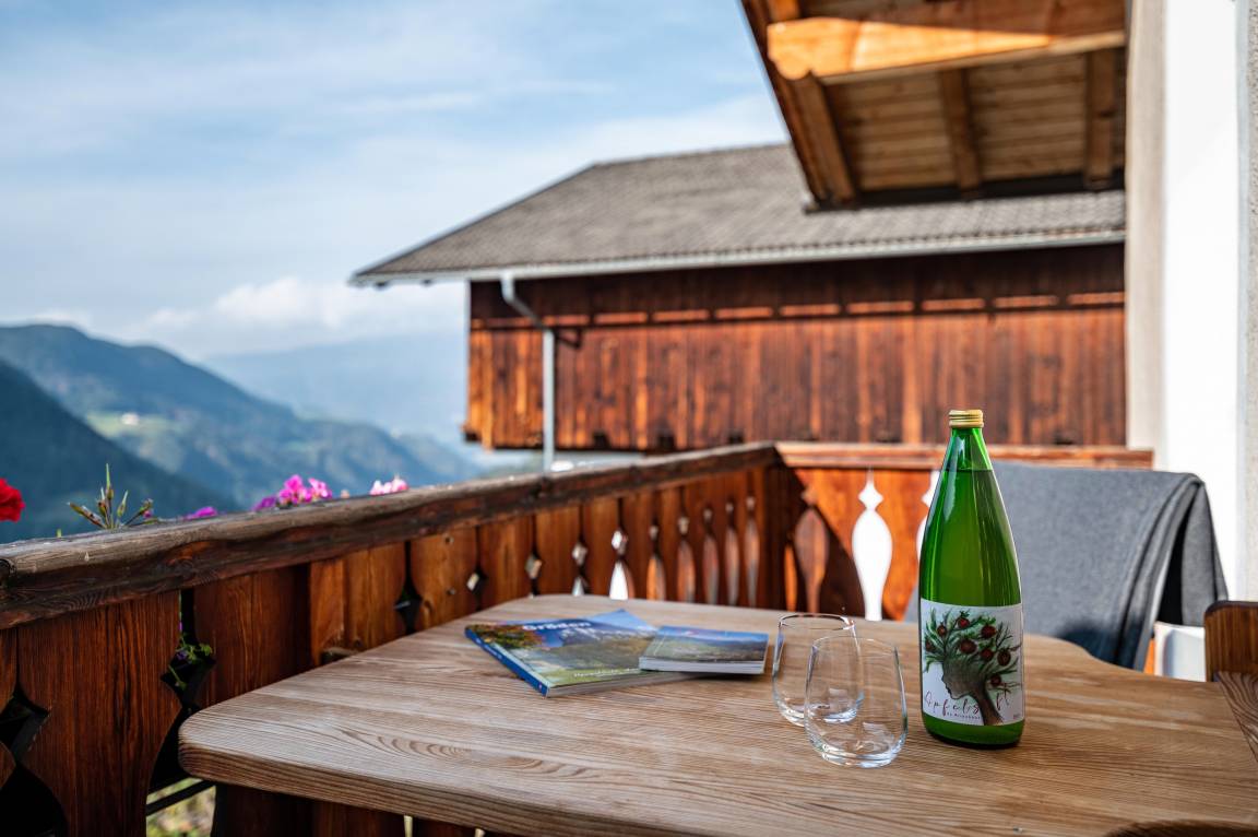 60 M² Appartement ∙ 1 Chambre ∙ 2 Personnes - Ortisei