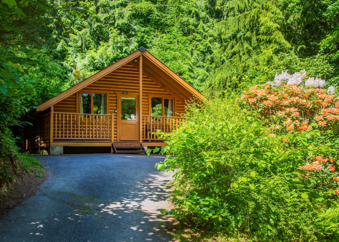 Chalet ∙ 1 Slaapkamer ∙ 4 Gasten - Devon