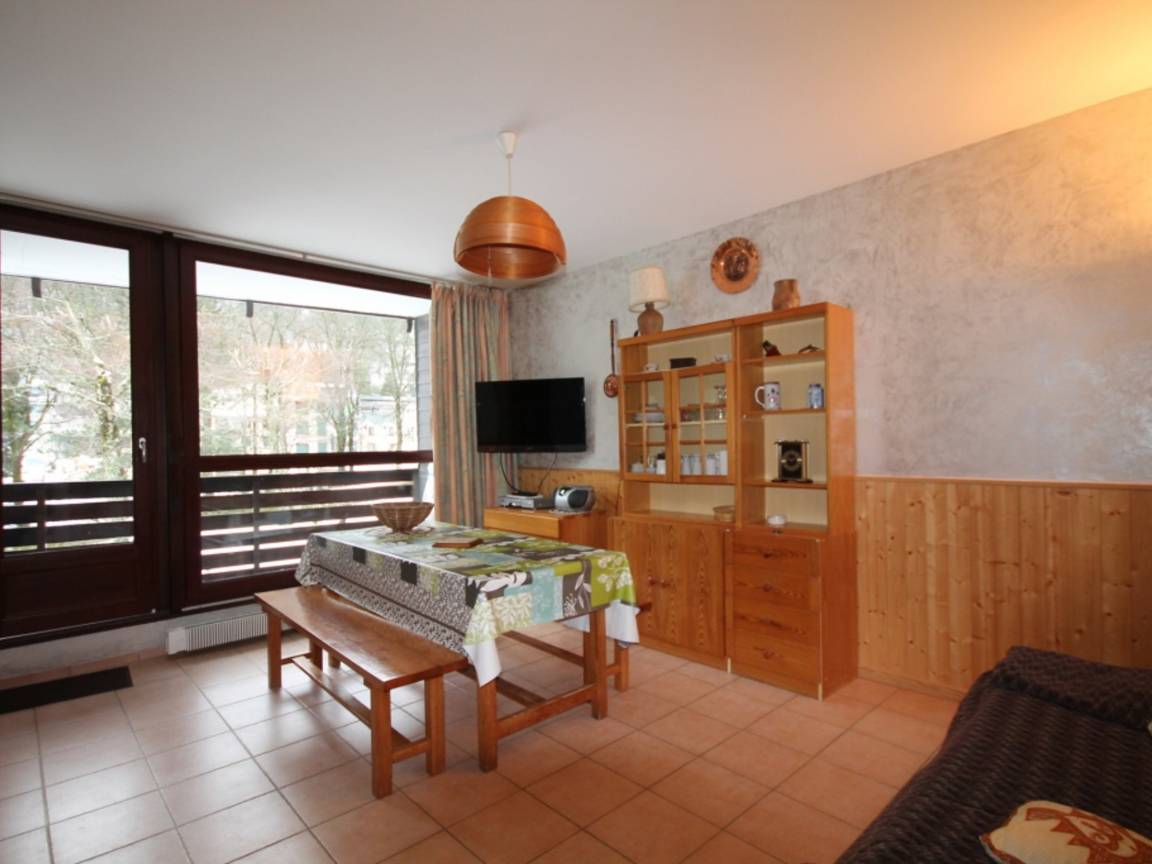 35 M² Appartement ∙ 1 Slaapkamer ∙ 4 Gasten - Puy de Sancy
