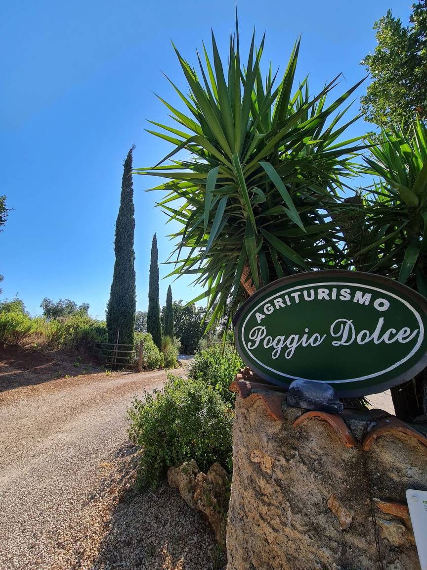 Farmhouse ∙ 1 Bedroom ∙ 4 Guests - Capalbio