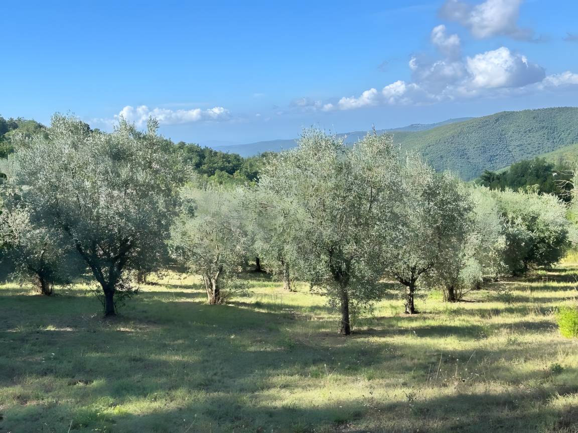 63 M² Albergue ∙ 2 Habitaciones ∙ 4 Huéspedes - Toscana