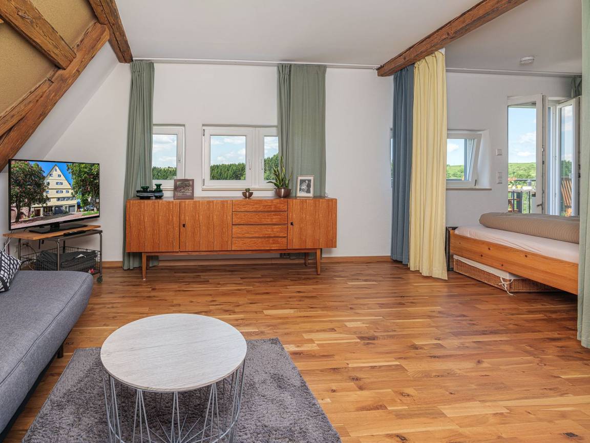 472 M² House ∙ 9 Bedrooms ∙ 24 Guests - Black Forest