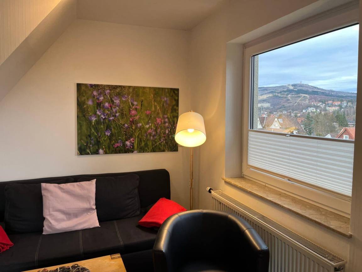 46 M² Apartment ∙ 1 Bedroom ∙ 4 Guests - Braunlage