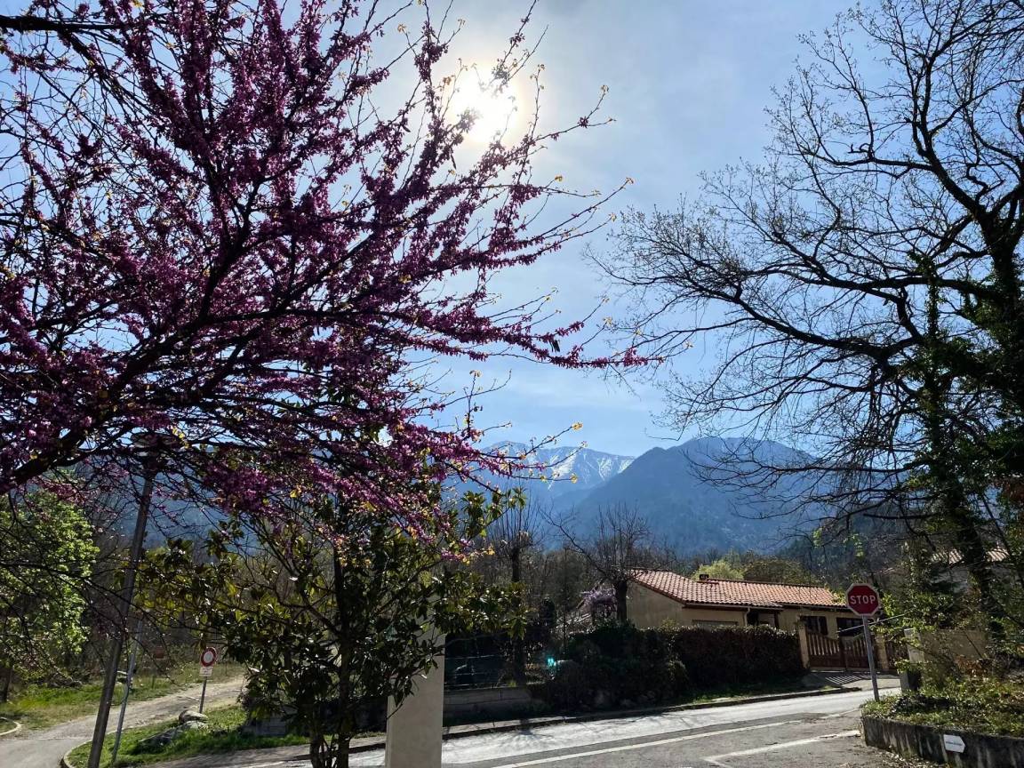 60 M² Appartement ∙ 2 Chambres ∙ 6 Personnes - Vernet-les-Bains