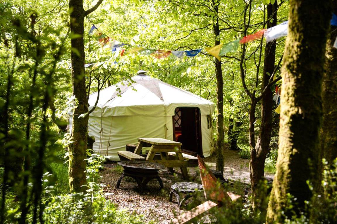 Camping ∙ 1 Bedroom ∙ 4 Guests - Carmarthenshire