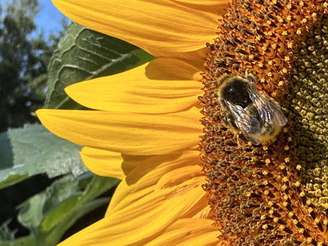 80 M² Apartment ∙ 1 Bedroom ∙ 4 Guests - Bayreuth