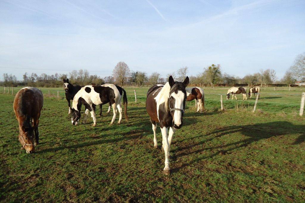 62 M² Gîte ∙ 2 Chambres ∙ 4 Personnes - Lac du Der-Chantecoq