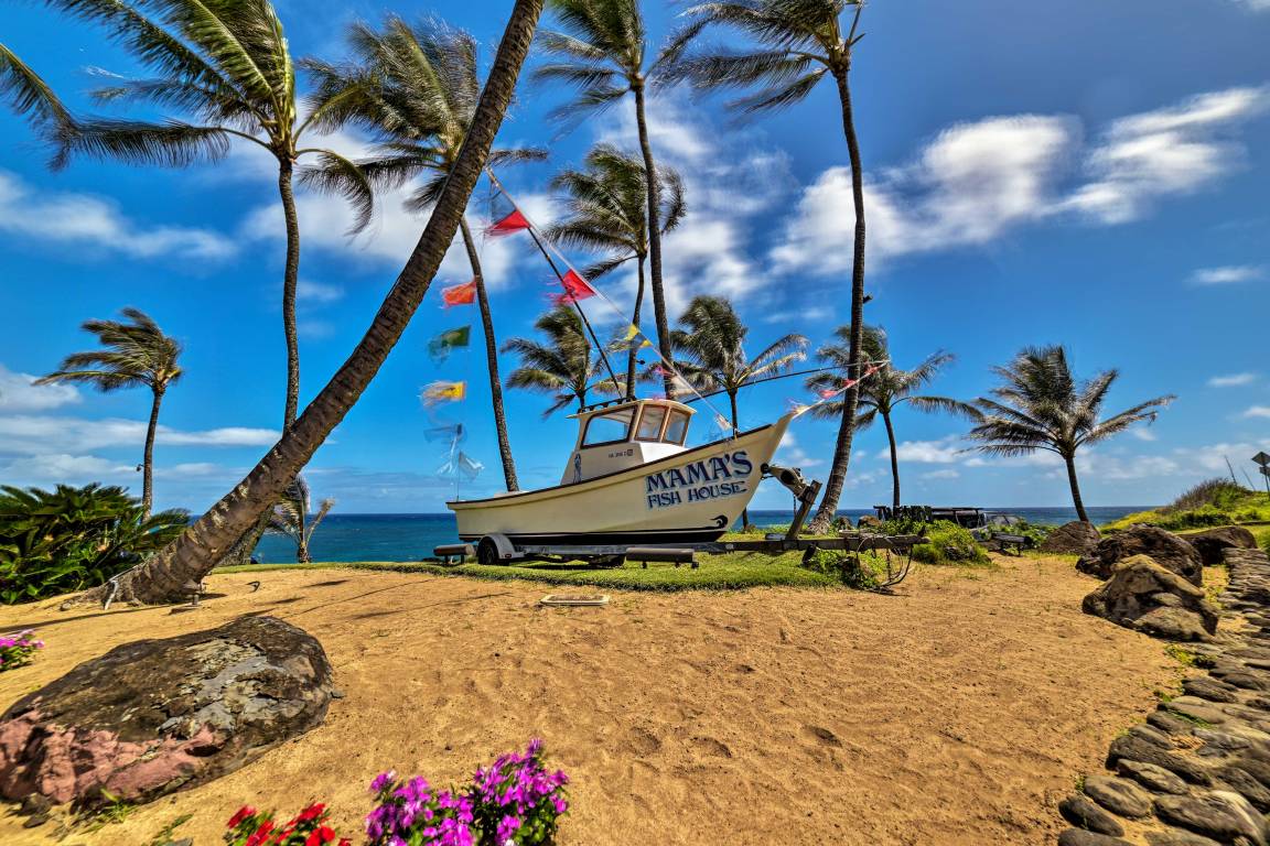 52 M² Apartment ∙ 1 Bedroom ∙ 4 Guests - Paia, HI