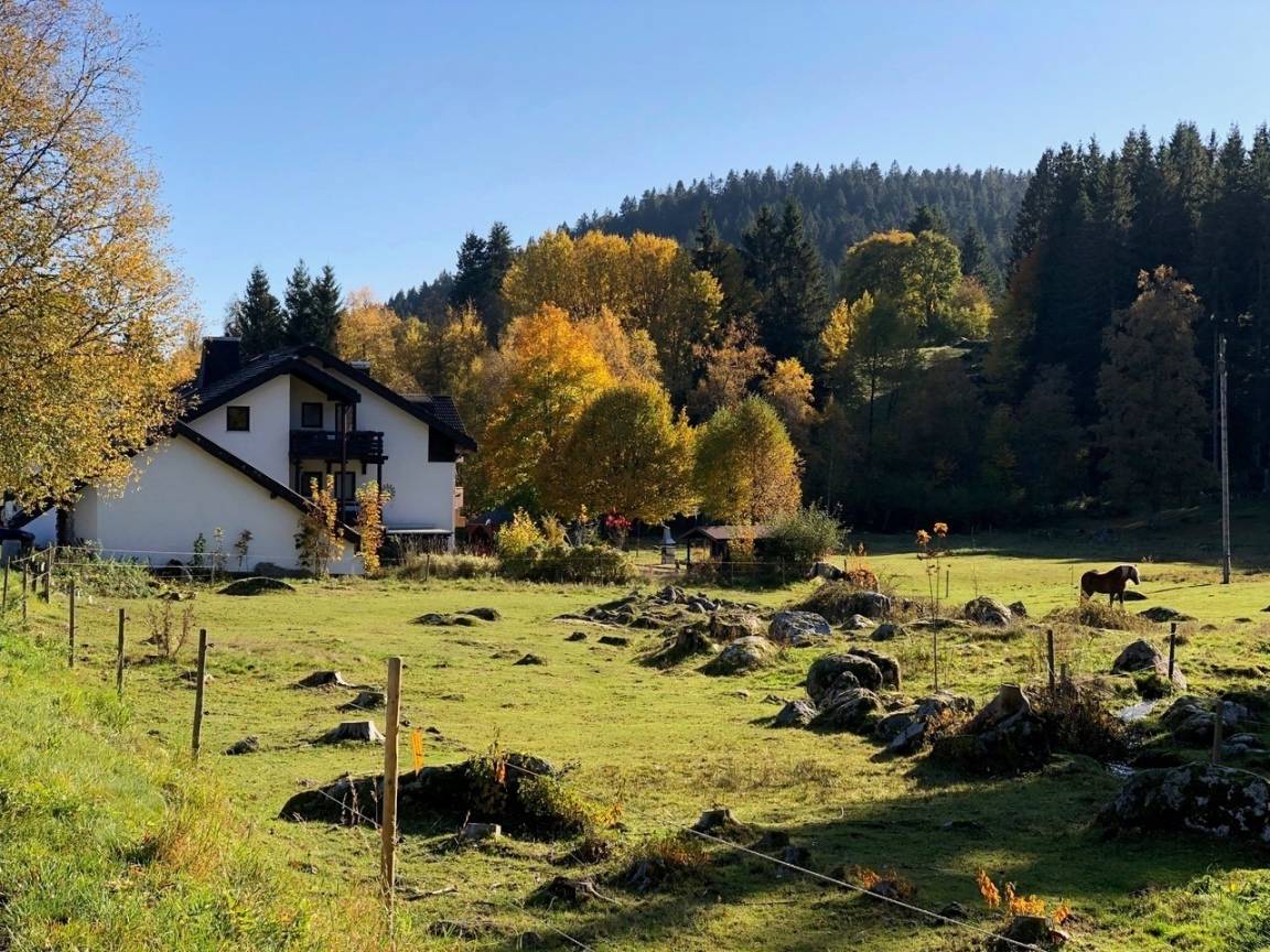 50 M² Apartment ∙ 1 Bedroom ∙ 3 Guests - Schluchsee