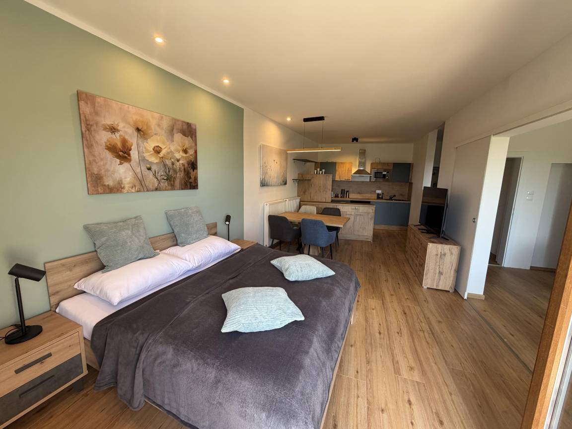 55 M² Apartamento ∙ 2 Habitaciones ∙ 4 Huéspedes - Baden bei Wien