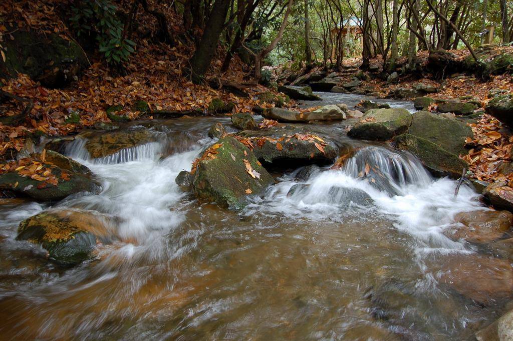 Cabin ∙ 2 Bedrooms ∙ 4 Guests - Robbinsville, NC
