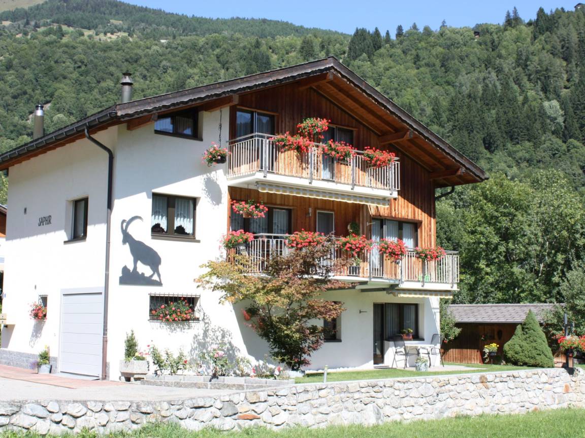 Ferienwohnung ∙ 1 Schlafzimmer ∙ 2 Gäste - Fiesch