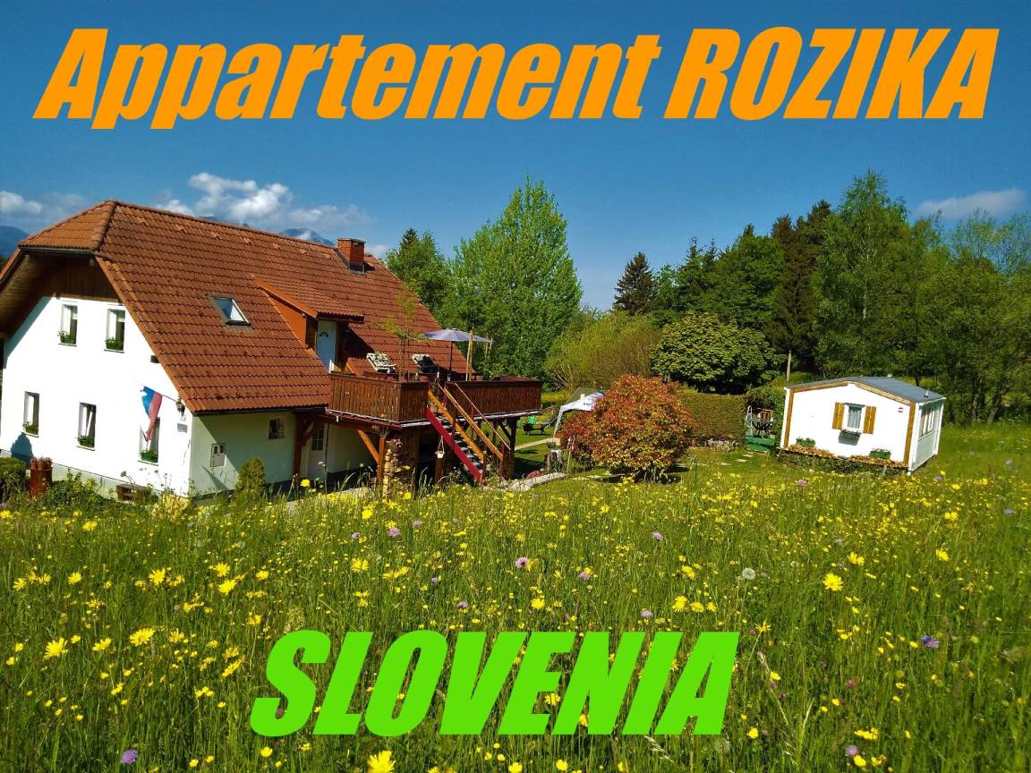 42 M² Apartament ∙ 1 Sypialnia ∙ 4 Gości - Brda