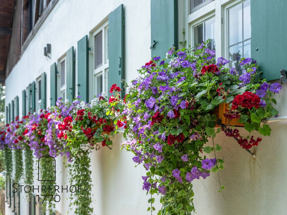 360 M² Ferienhaus ∙ 5 Schlafzimmer ∙ 15 Gäste - Utting am Ammersee