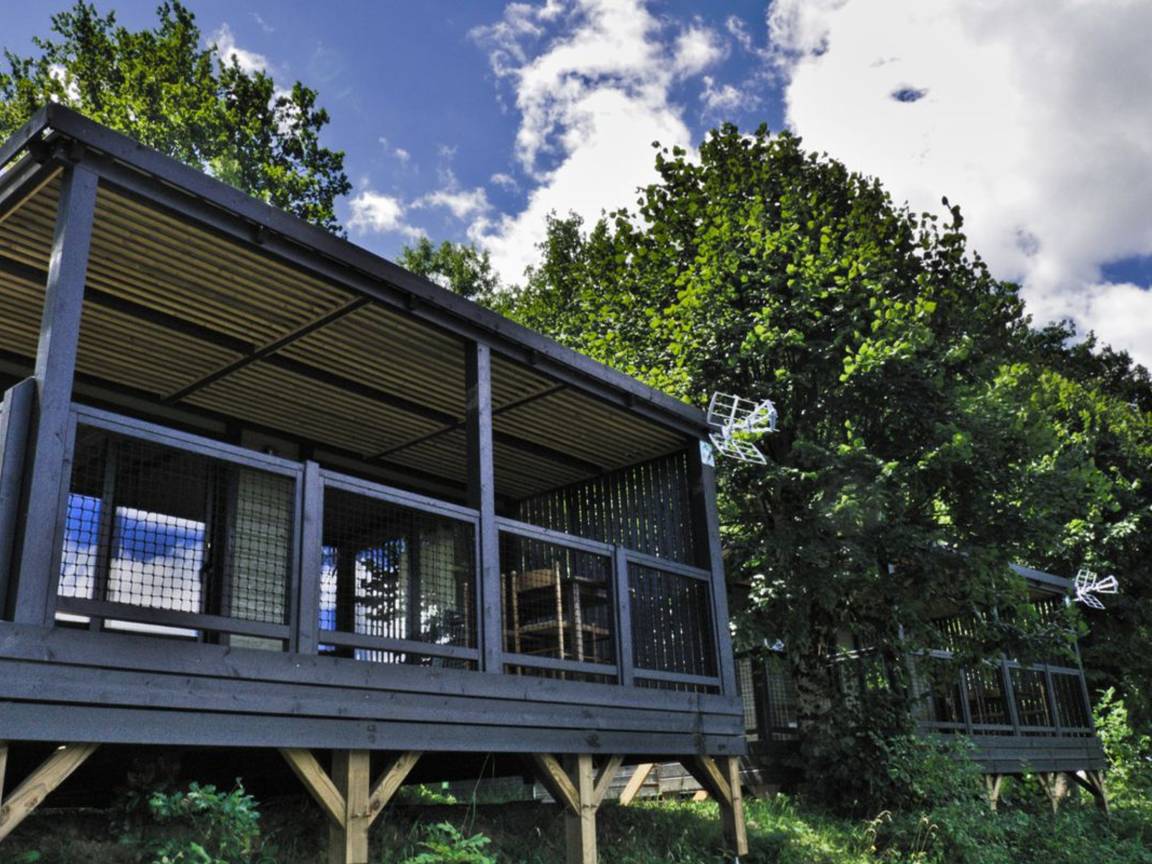 33 M² Chalet ∙ 3 Chambres ∙ 6 Personnes - Vic-sur-Cère