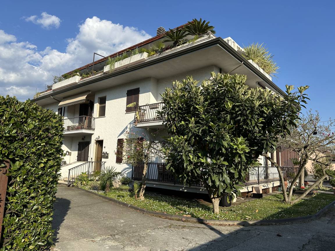 Apartment ∙ 1 Bedroom ∙ 4 Guests - Massa