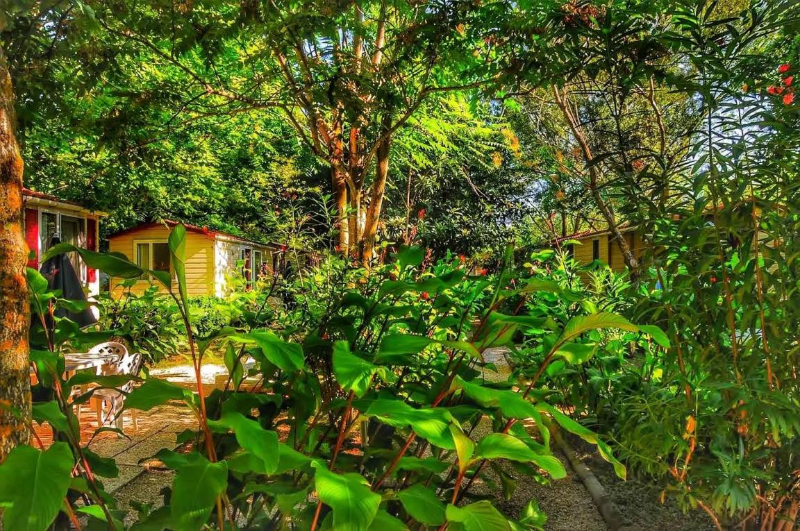 Mobil-home ∙ 2 Chambres ∙ 2 Personnes - Trevignano Romano