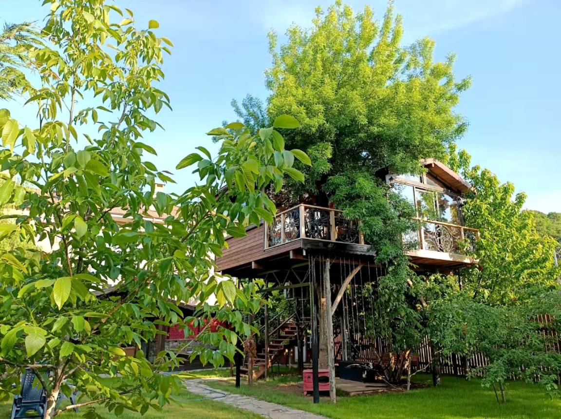 Camping ∙ 1 Bedroom ∙ 3 Guests - Kocaeli