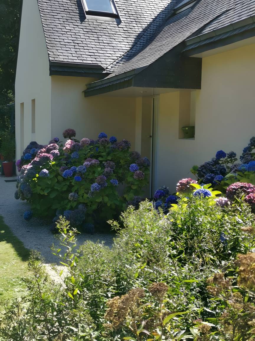 20 M² Chambre D'hôtes ∙ 1 Chambre ∙ 2 Personnes - Trégastel