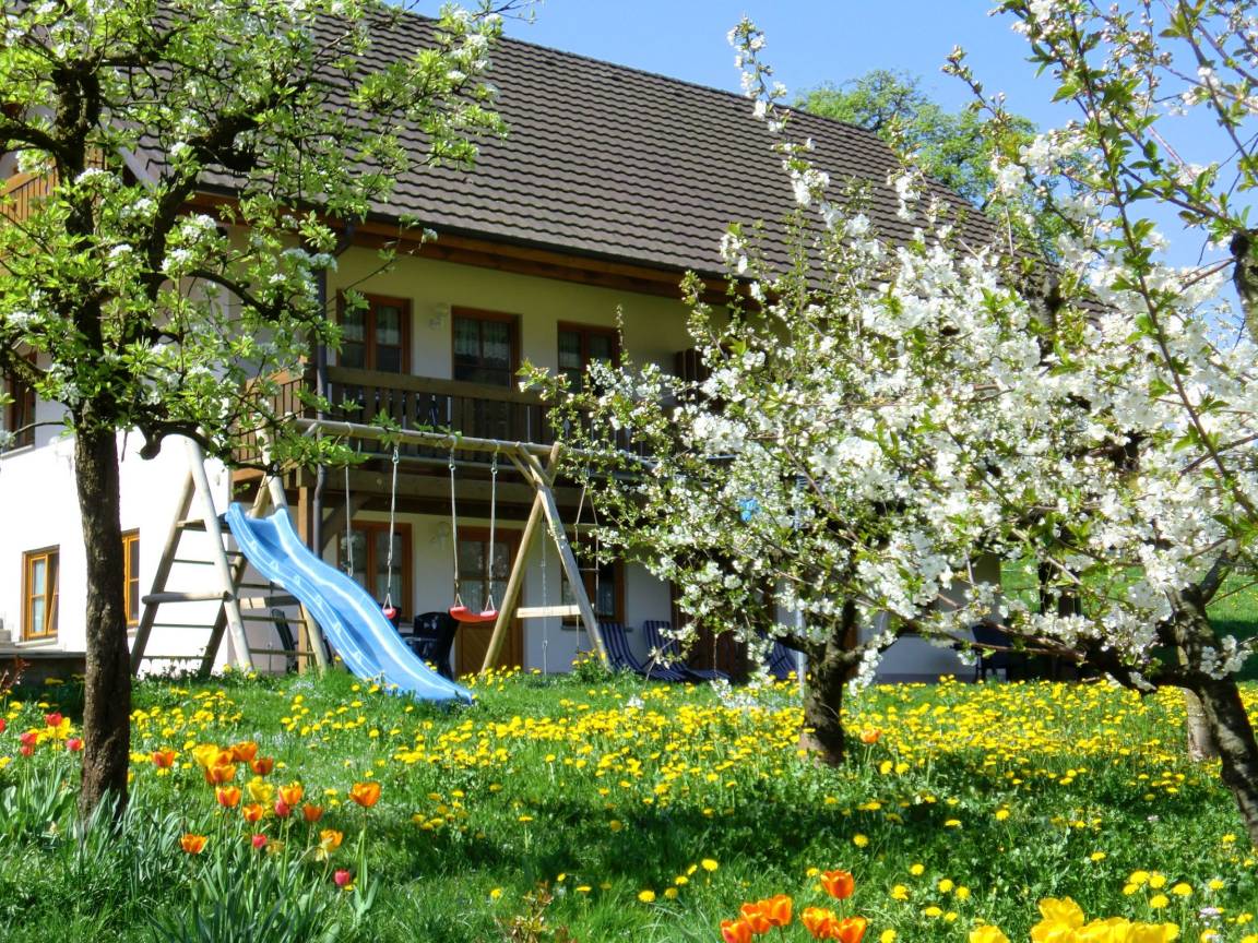 40 M² Ferienwohnung ∙ 1 Schlafzimmer ∙ 2 Gäste - Glottertal