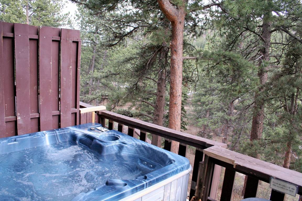 Condo ∙ 1 Bedroom ∙ 2 Guests - Estes Park, CO