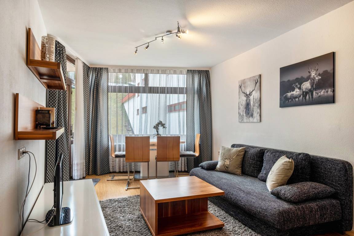42 M² Appartement ∙ 1 Chambre ∙ 4 Personnes - Schluchsee