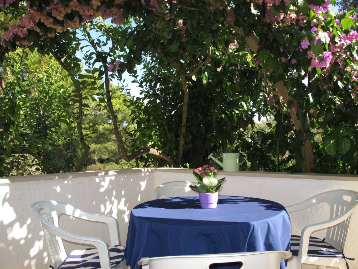 40 M² Apartment ∙ 2 Bedrooms ∙ 4 Guests - Brač