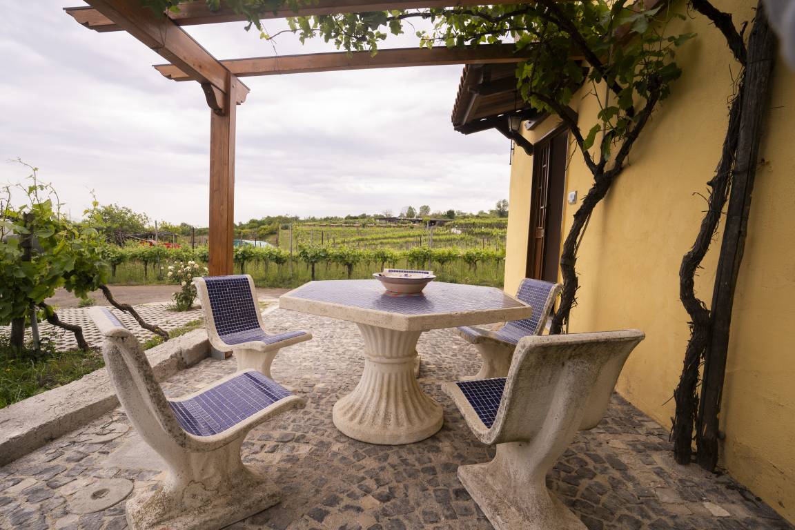 Farmhouse ∙ 1 Bedroom ∙ 5 Guests - Pompei