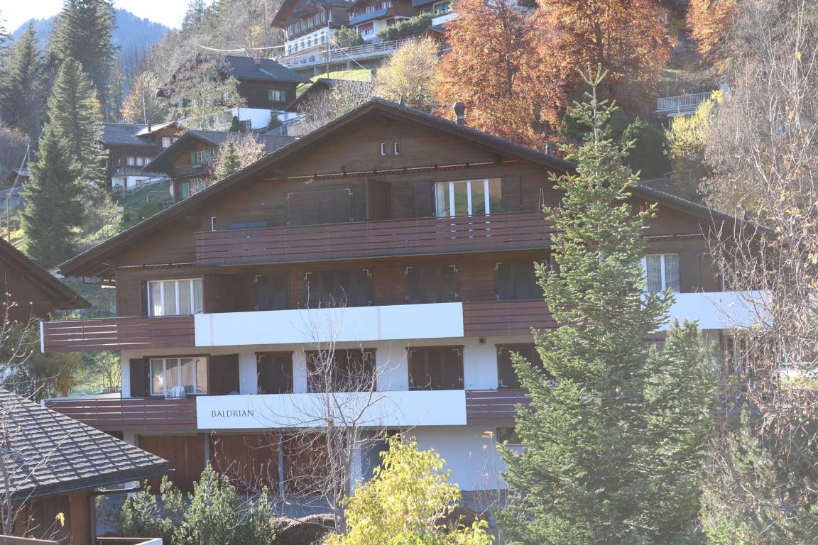 60 M² Apartment ∙ 2 Bedrooms ∙ 4 Guests - Adelboden